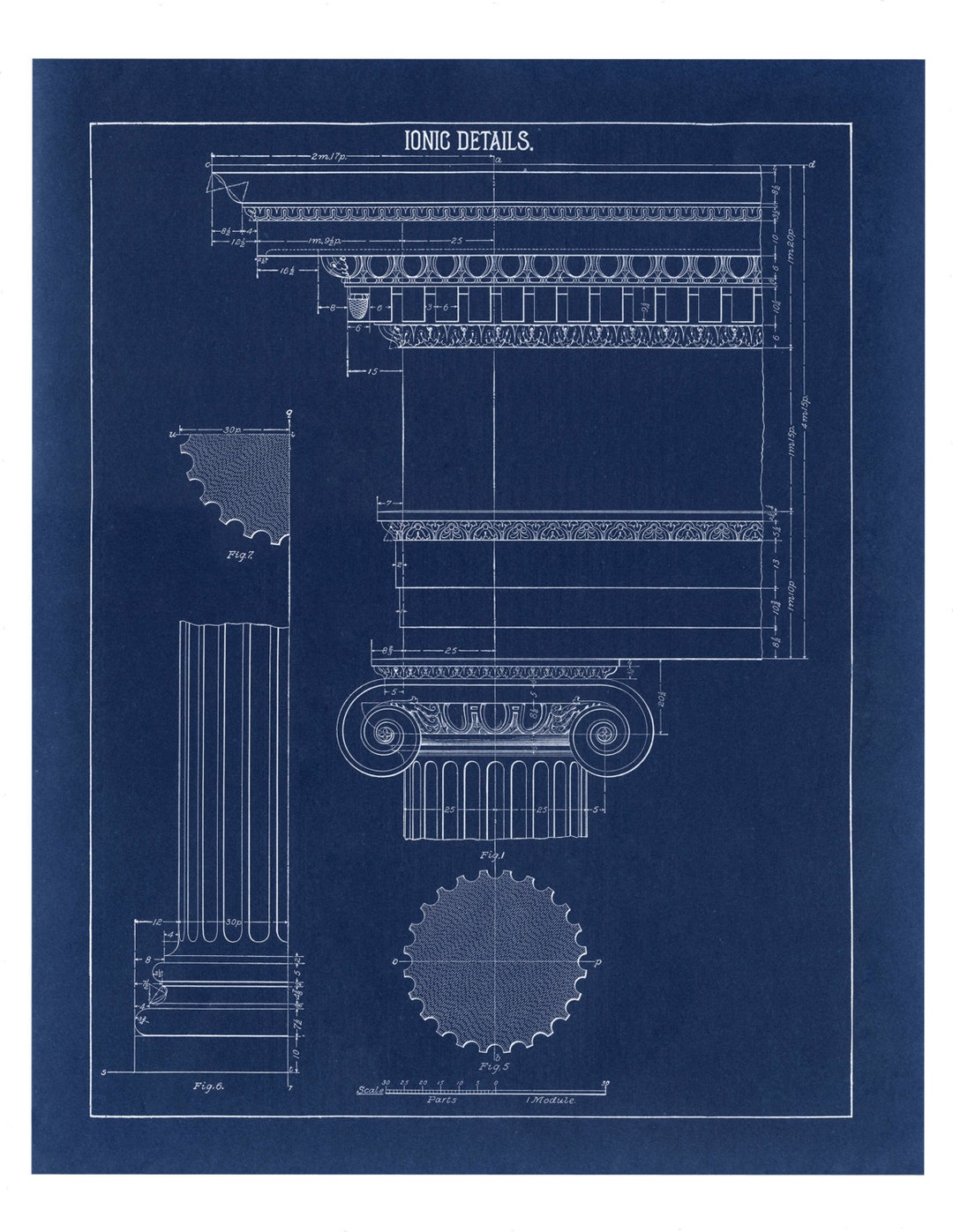 Blueprint Home Decor, Ionic Column, Drawing, Blueprint, Fine Art Print ...