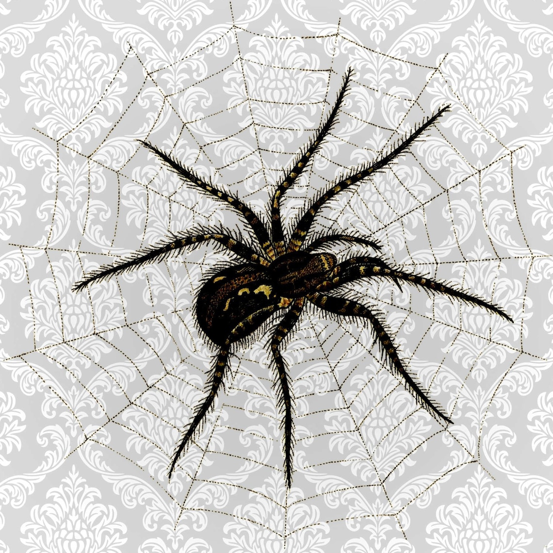 Spider Web Web Art Web Spider Spider Web Art Halloween - Etsy