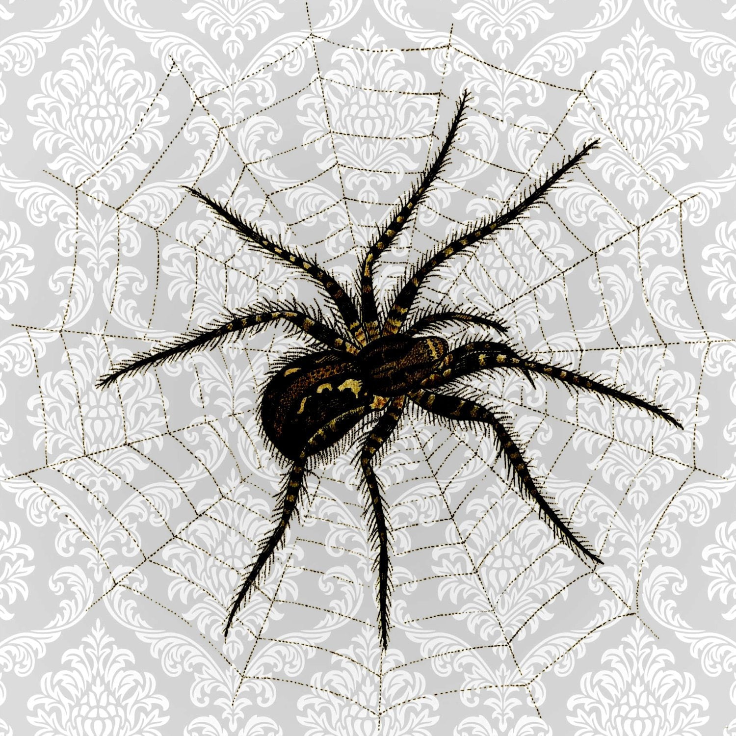 Spider Web, Web Art, Web Spider, Spider Web Art, Halloween Spider Web ...