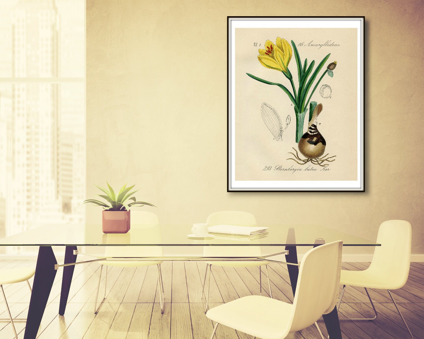 Yellow Crocus Botanical Illustration Crocus Yellow Yellow - Etsy