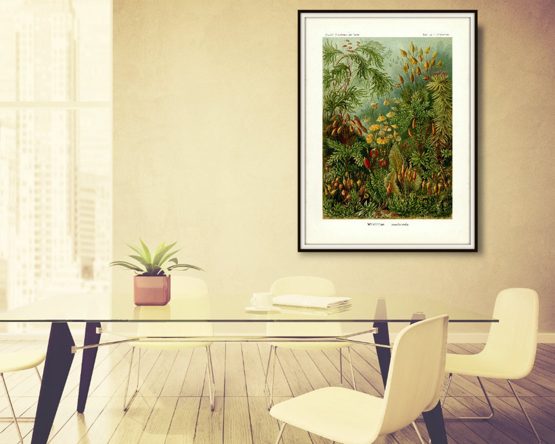 Botanical Print, Moss Print, Moss Forest, Forest Moss, Forest Print ...