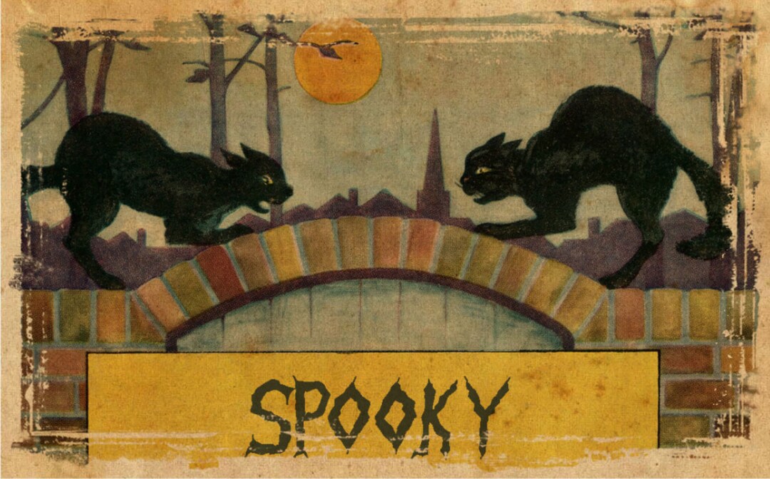 Spooky Black, Spooky Halloween, Halloween Spooky, Black Halloween ...