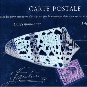 Seashell Drawing, Drawing Seashell, Blueprint Drawing, Drawing ...