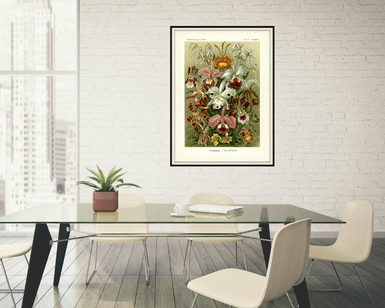 Orchid Flower, Art Forms, Forms Art, Flower Forms, Flower Orchid ...