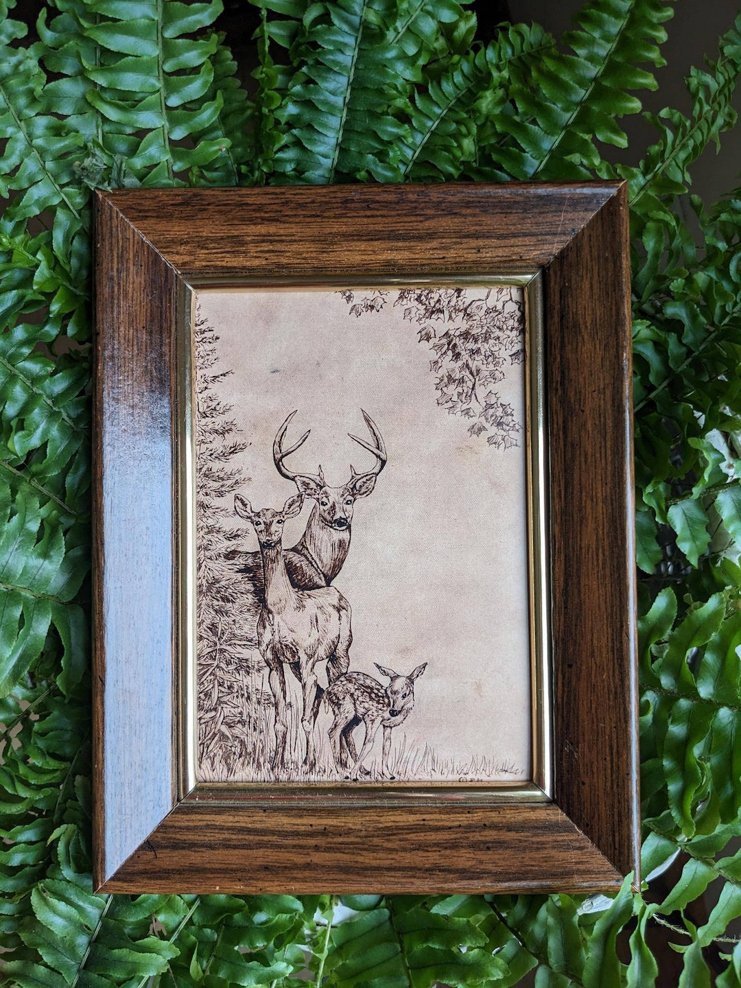 Pen and Ink White Tailed Deer Drawing Print 5x7 Vintage -like Nerdy ...
