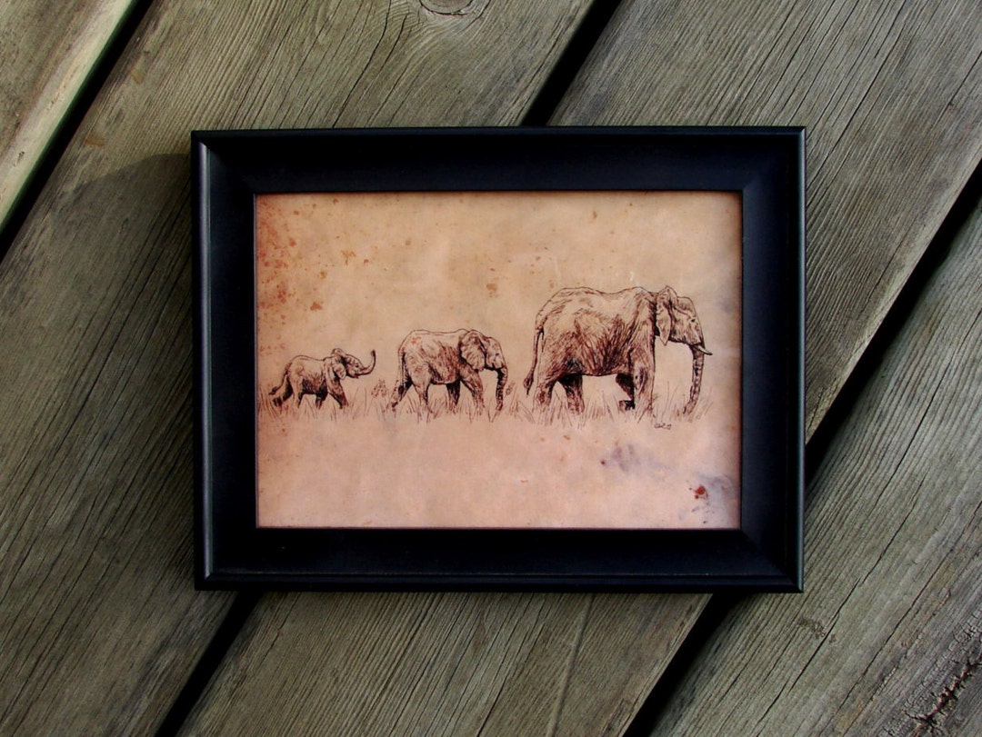 Pen and Ink African Elephant Baby Print 5x7 Vintage -like Science ...