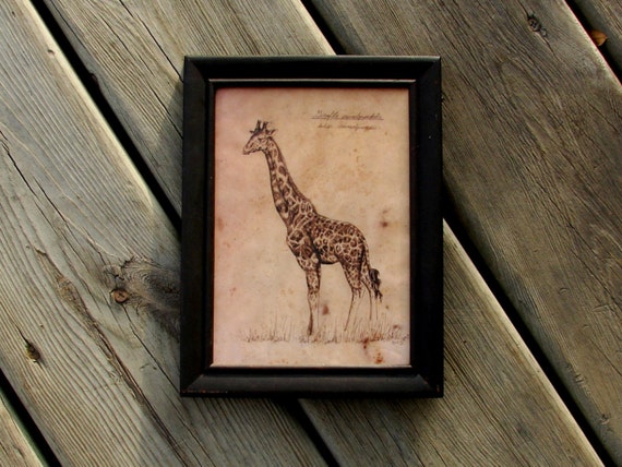 Vintage Ink Drawings Giraffe