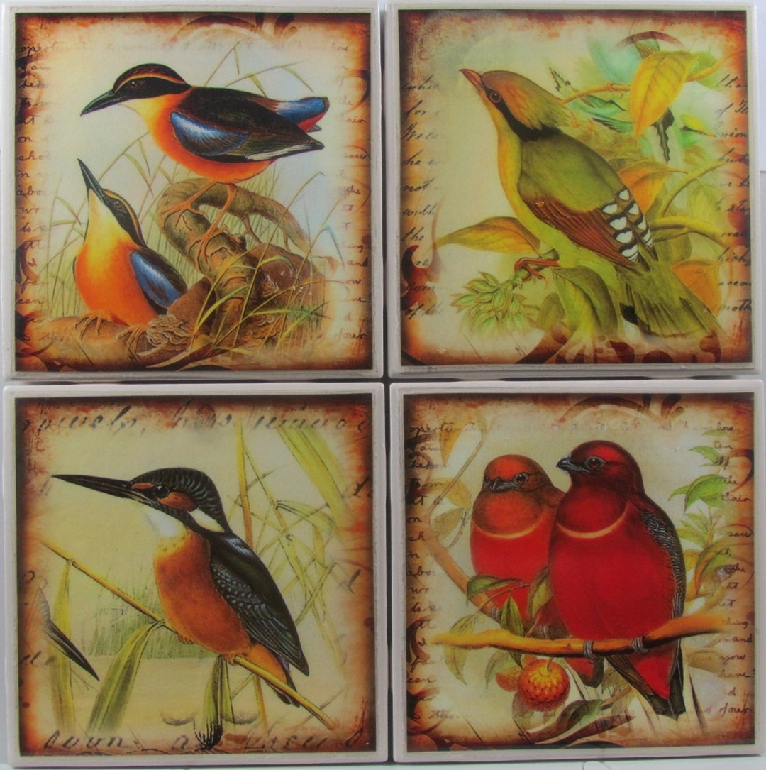 Tile Coasters - Wild Birds - Set of 4 - (buy 2 Sets - Get 1 Set Free ...