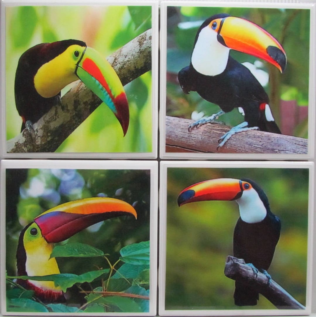 Tile Coasters Toucan Birds Set of 4 buy 2 Sets Get 1 Set Free Coaster ...