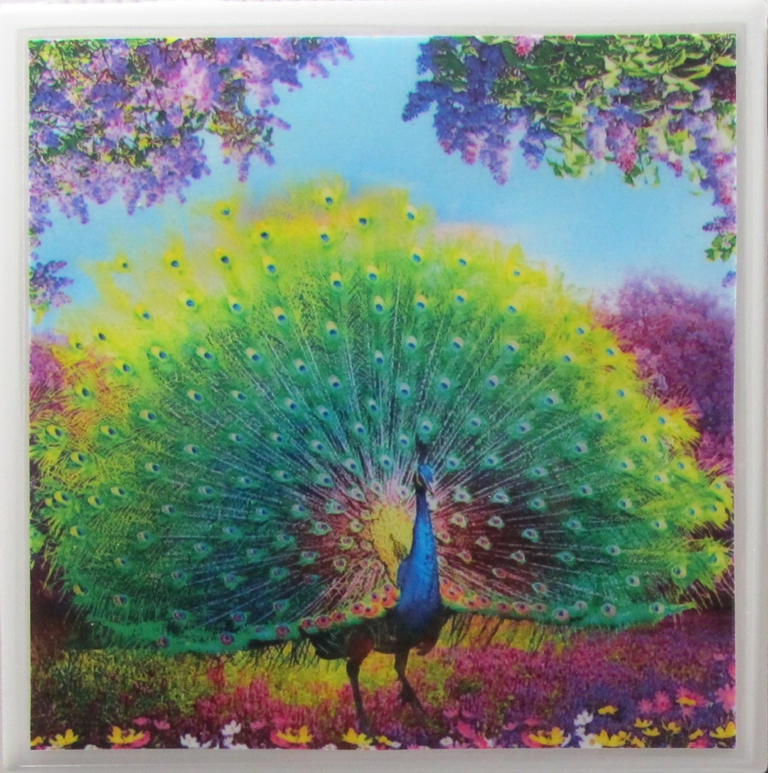 Ceramic Tile Coasters - Peacocks - Set of 4 - (buy 2 Sets - Get 1 Set ...