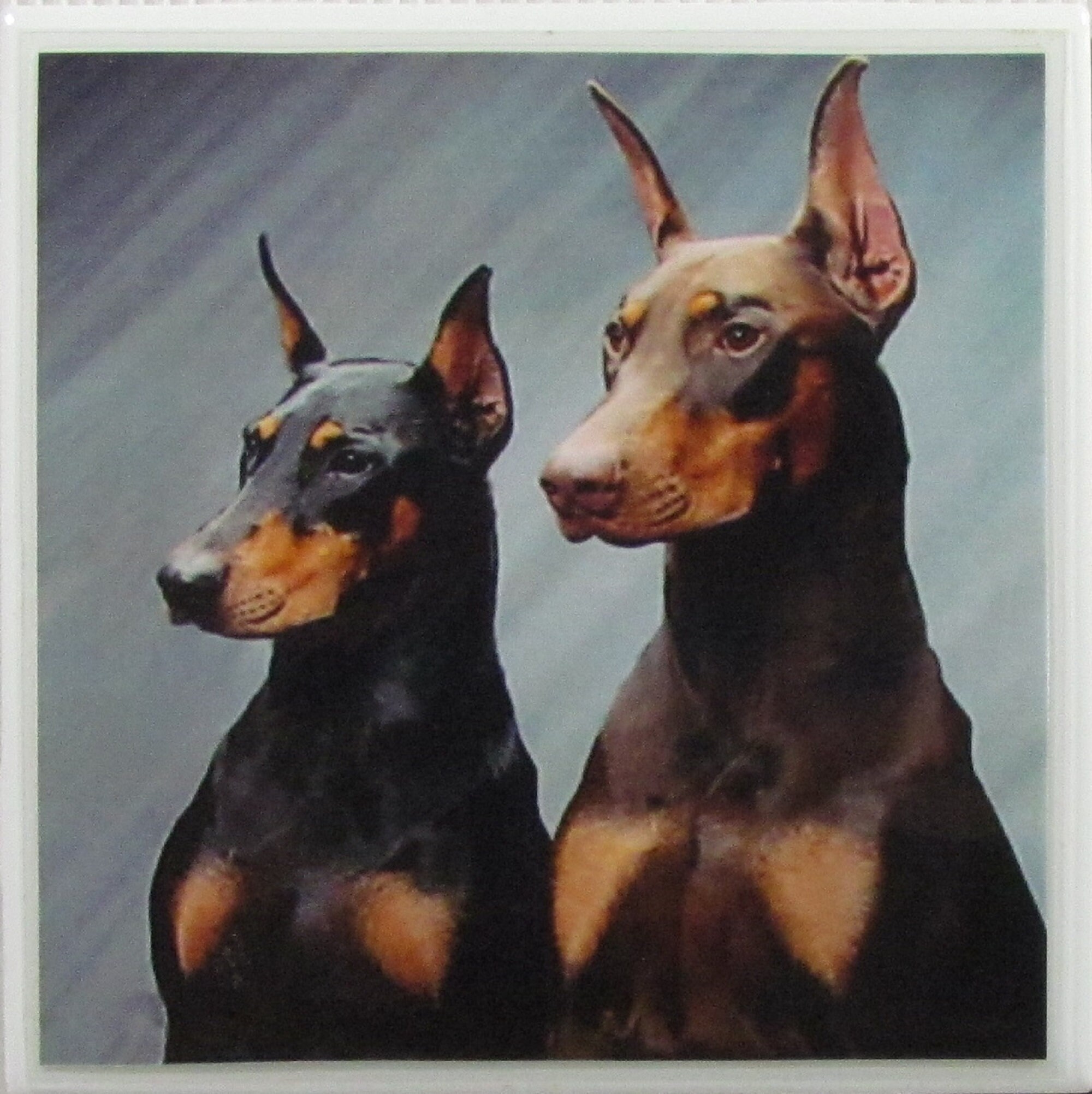 Tile Coaster - Championship Dogs - Set of 4 (buy 2 Sets - Get 1 Set ...