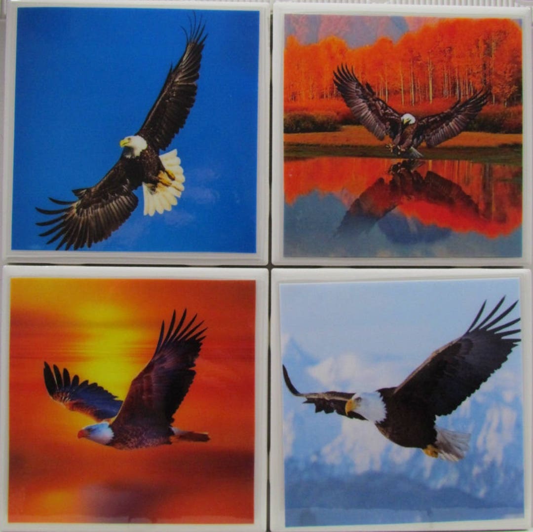 Tile Coaster - Eagles - Set of 4 - (buy 2 Sets - Get 1 Set Free ...