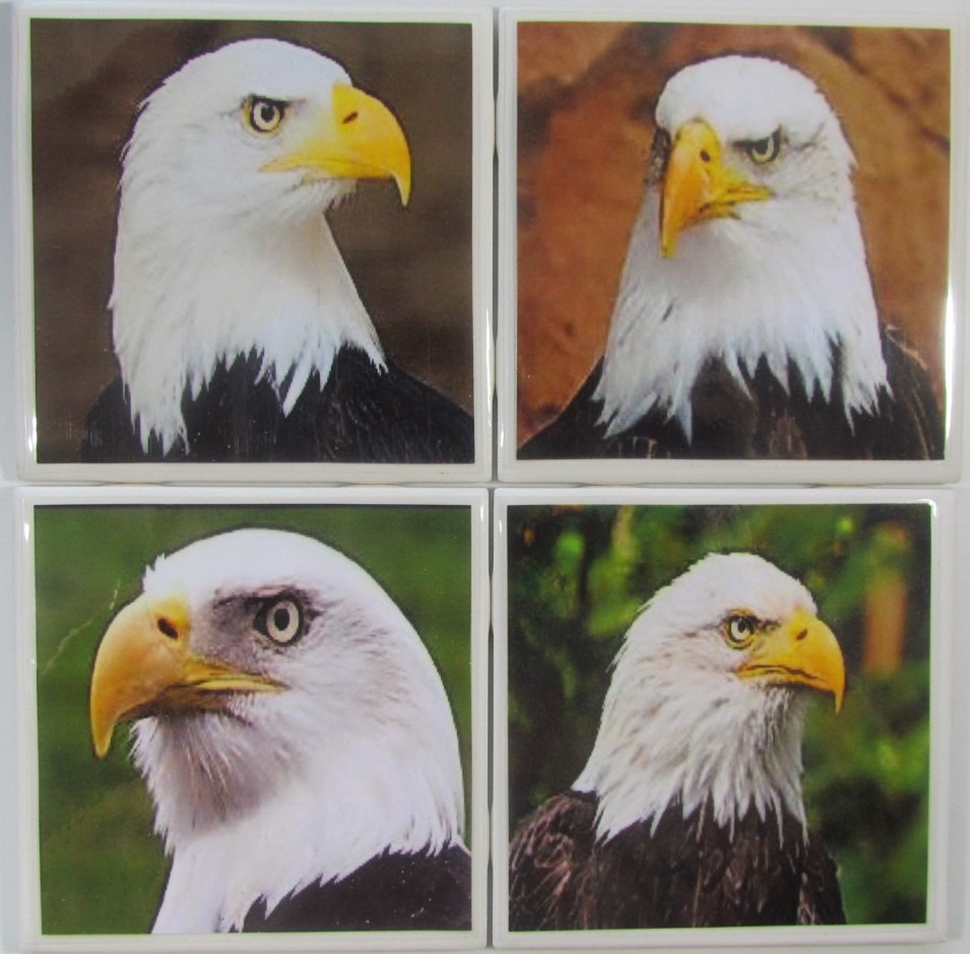 Tile Coasters - Eagles - Set of 4 - (buy 2 Sets - Get 1 Set Free) Coaster Set, Ceramic ...