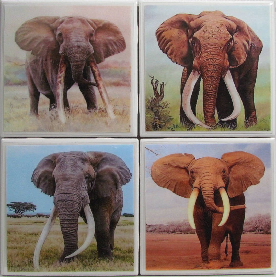 Tile Coasters - Elephants - (set of 4) (buy 2 Sets - Get 1 Set Free ...