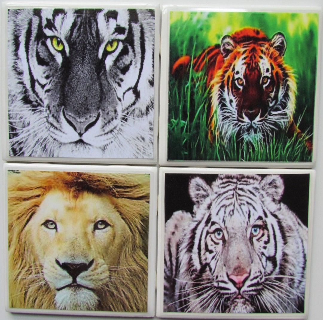 Tile Coasters - Wild Cats - Set of 4 - (buy 2 Sets - Get 1 Set Free ...