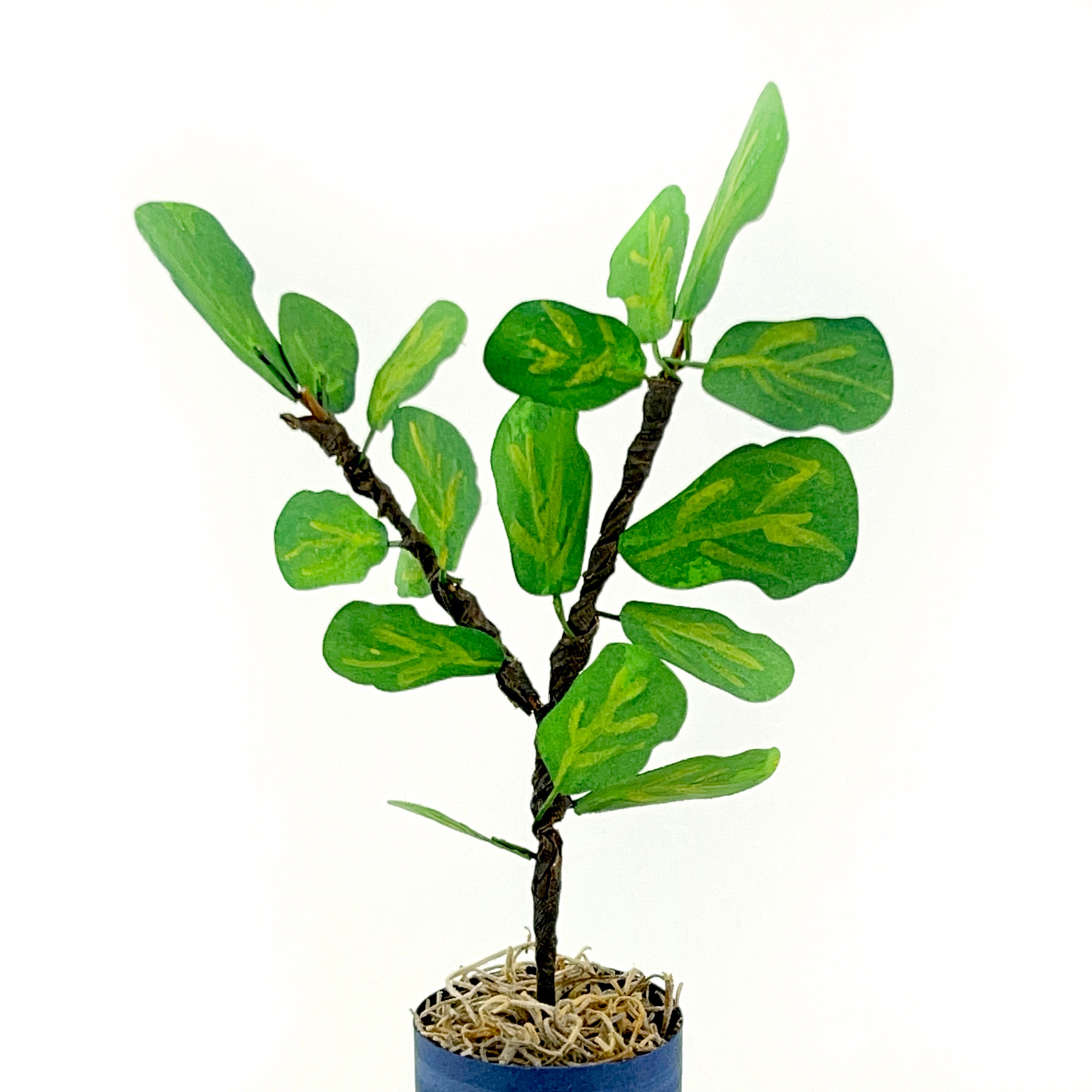 Fiddle Leaf Fig Mini Paper Plant Sculpture in a Glass Dome With Gold ...