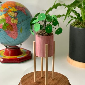 Chinese Money Plant Mini Paper Plant Sculpture in a Glass | Etsy