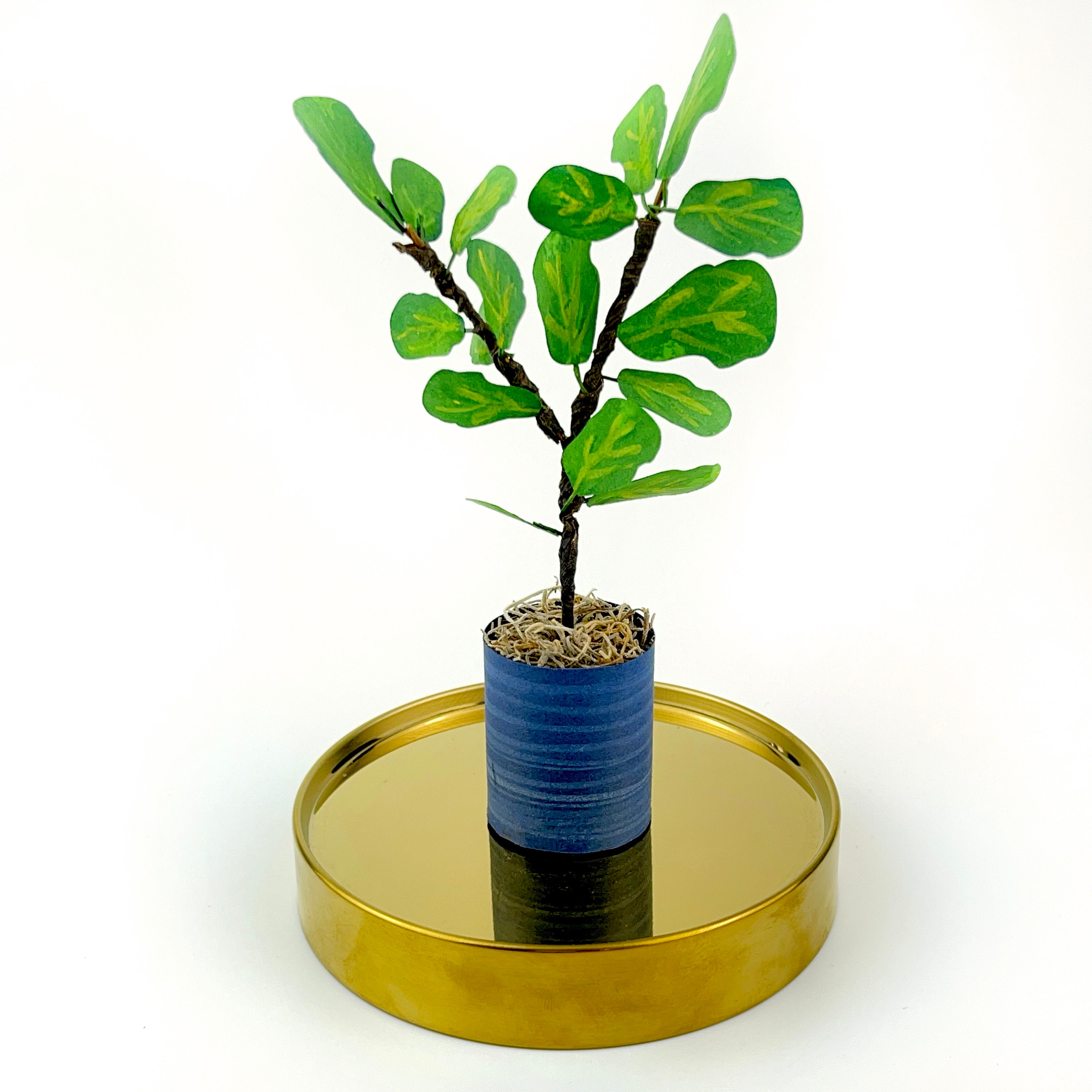 Fiddle Leaf Fig Mini Paper Plant Sculpture in a Glass Dome With Gold ...