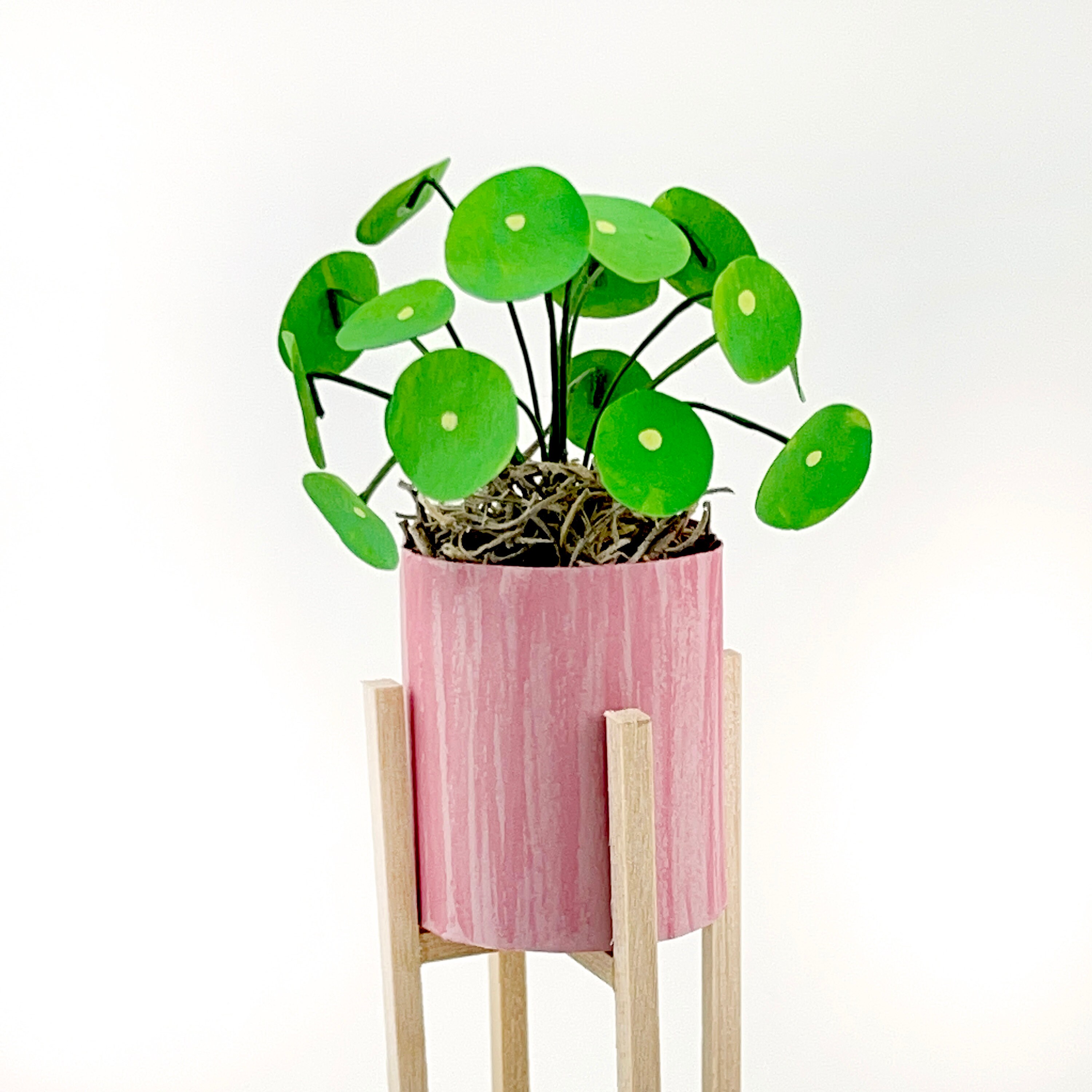 Chinese Money Plant Mini Paper Plant Sculpture in a Glass - Etsy