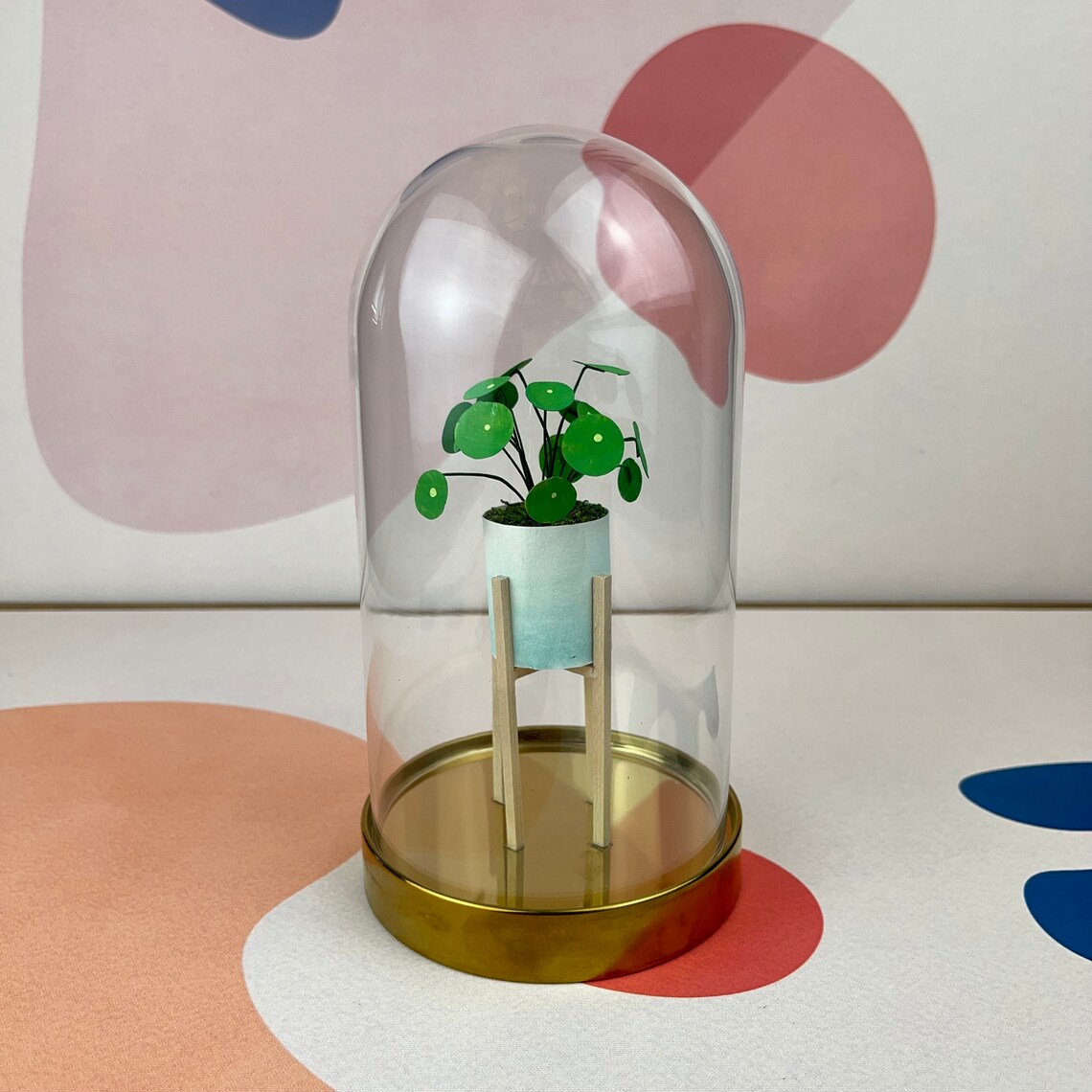 Chinese Money Plant Mini Paper Plant Sculpture in a Glass Dome With ...