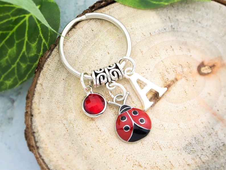 Ladybird Charm Keyring, Personalised Gift, Ladybug Keychain, Insect ...