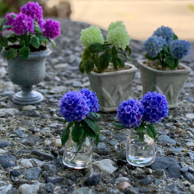 OOAK Dollhouse Miniature Hydrangea in Glass Jar - Etsy