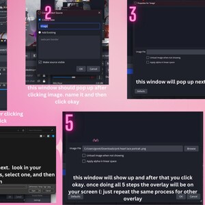 Portrait and Ult Overlay for Overwatch // Scemo Emo Theme Overlay - Etsy