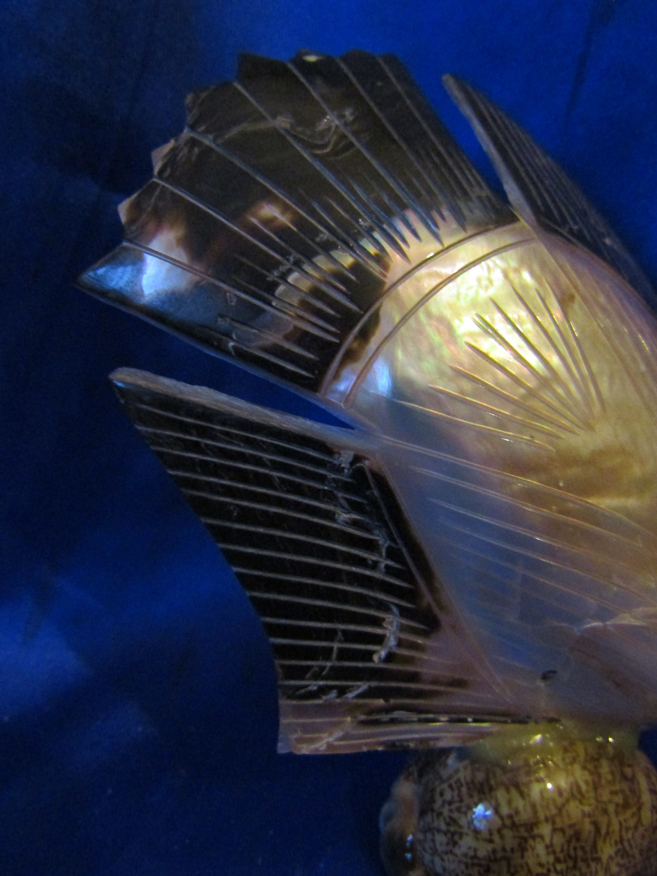 Vintage Carved Oyster Shell in the Form a Bird Sitting on a - Etsy