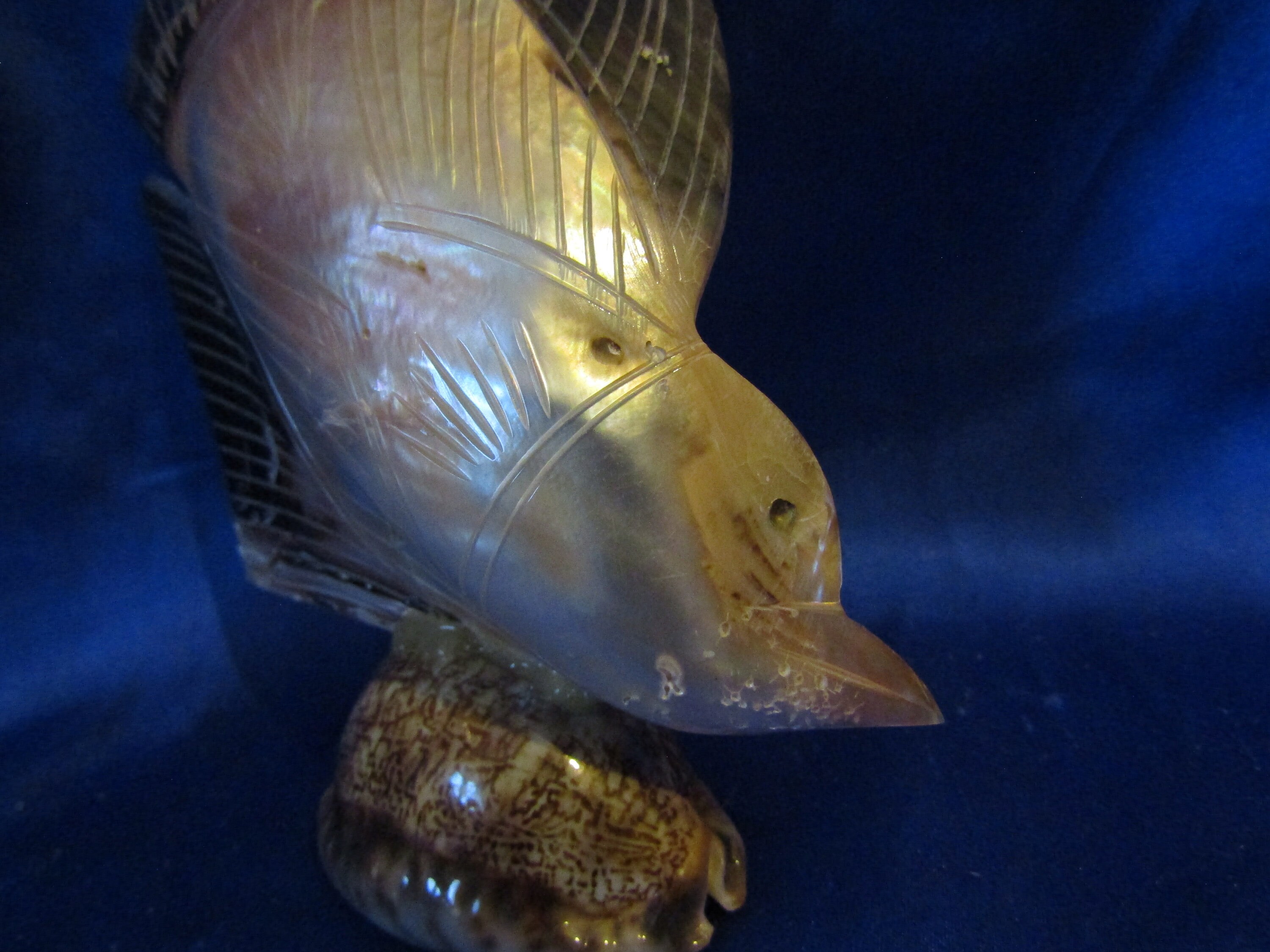 Vintage Carved Oyster Shell in the Form a Bird Sitting on a - Etsy