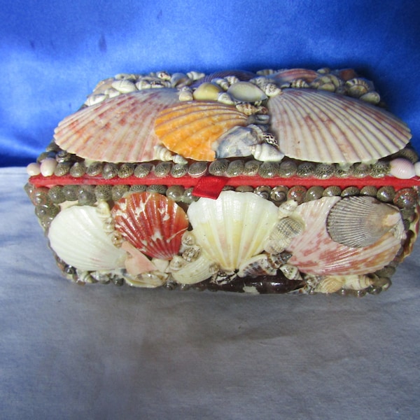 Shell Trinket Box - Etsy