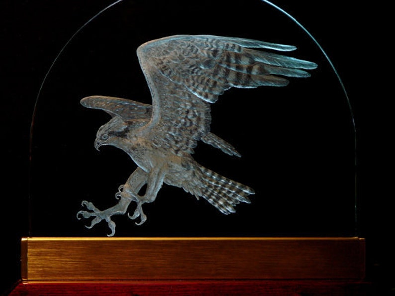 Osprey, Osprey in Flight, Fish Hawk, Hand Engraved, Fine Art, Bird Art ...