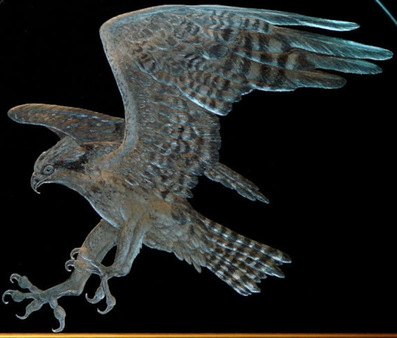 Osprey, Osprey in Flight, Fish Hawk, Hand Engraved, Fine Art, Bird Art ...