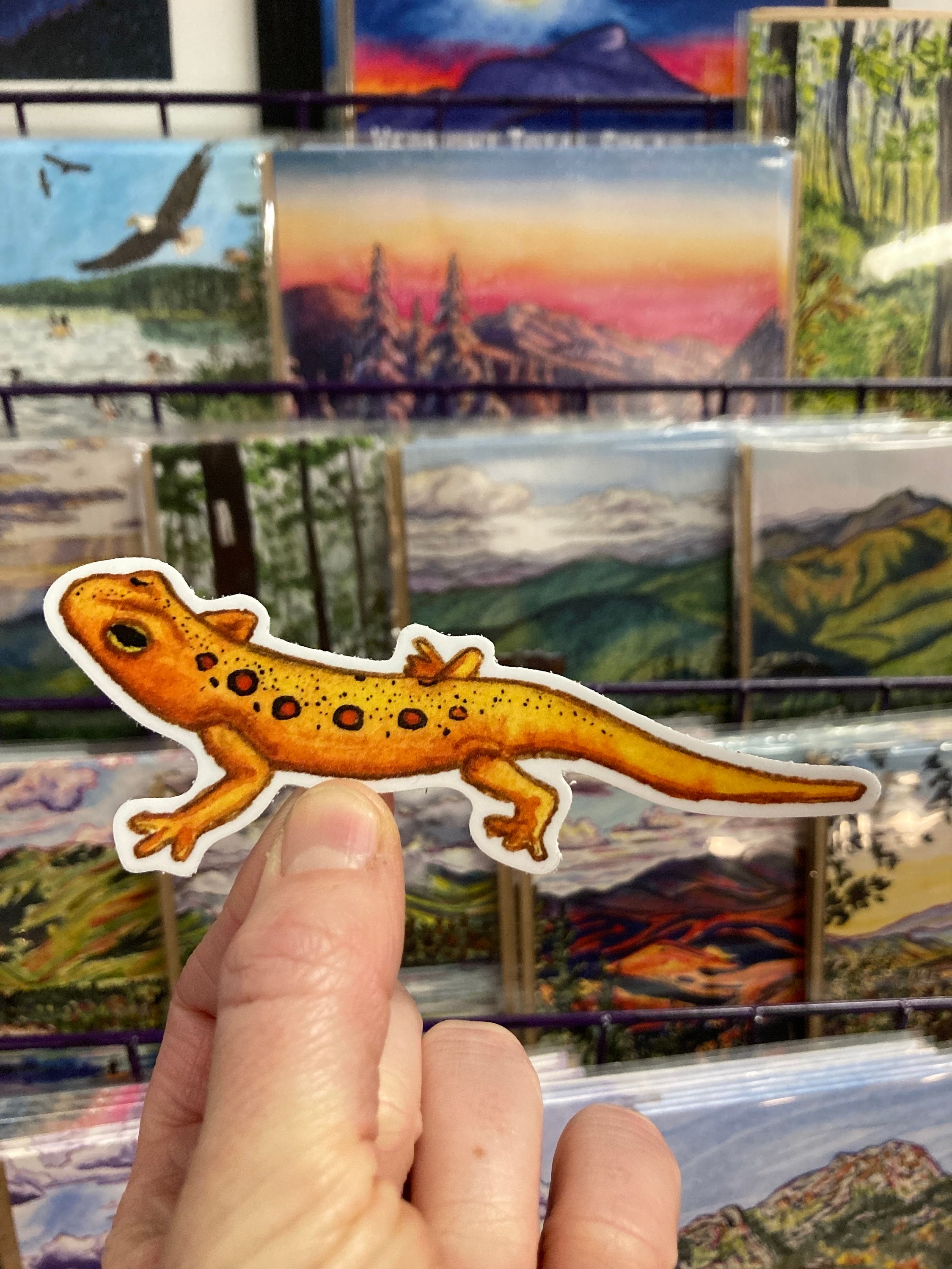 Red Eft Eastern Newt Salamander 3" Vinyl Sticker - Etsy