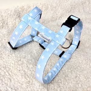 Dog Harness Light Blue, Baby Blue Stars (traditional Style), Cute Male ...