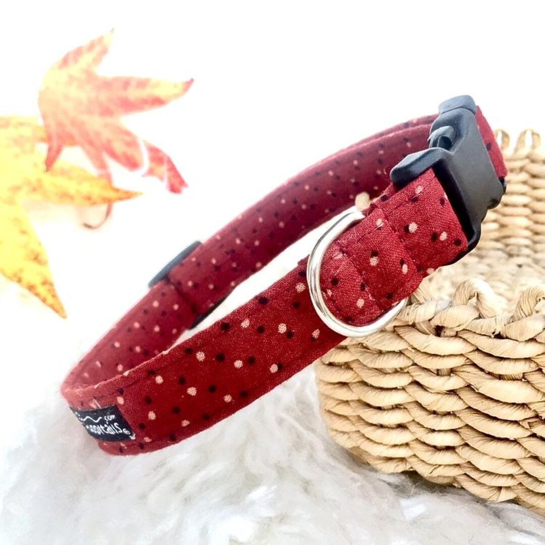Rusty Brown Polka Dot Dog Collar, Optional Lead - Etsy