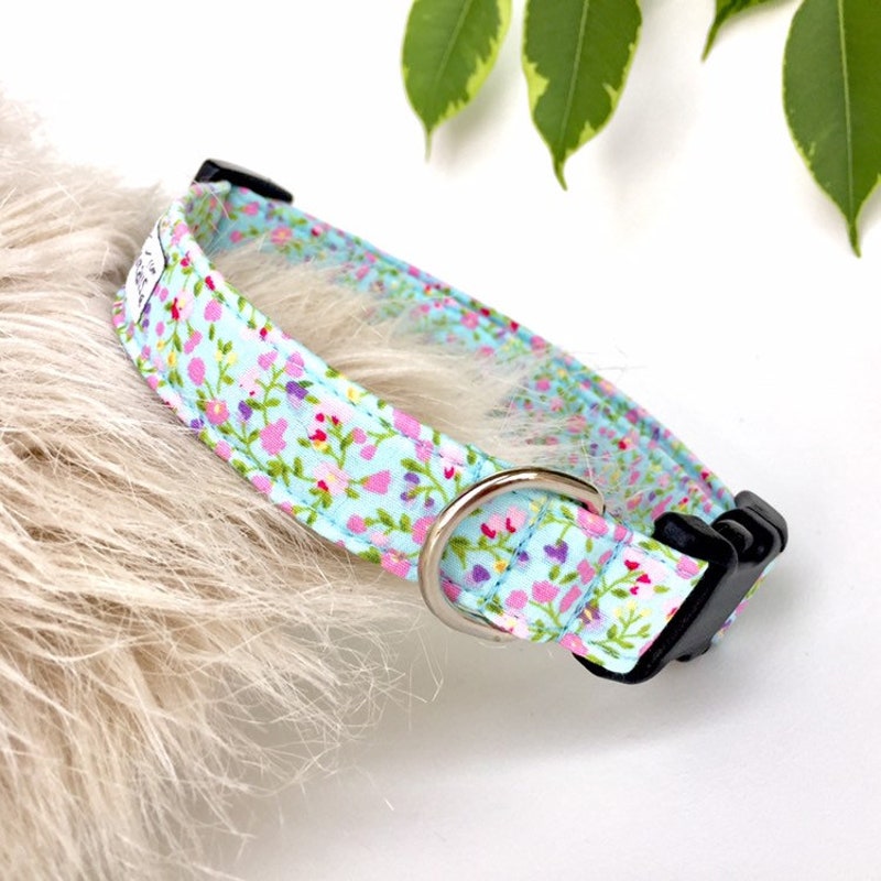 Puppy Collar - Etsy