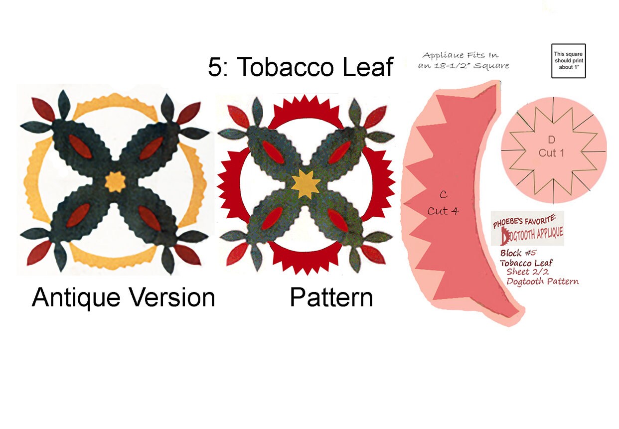 9 Traditional Applique Blocks in a Sampler Quilt Using the Dogtooth ...