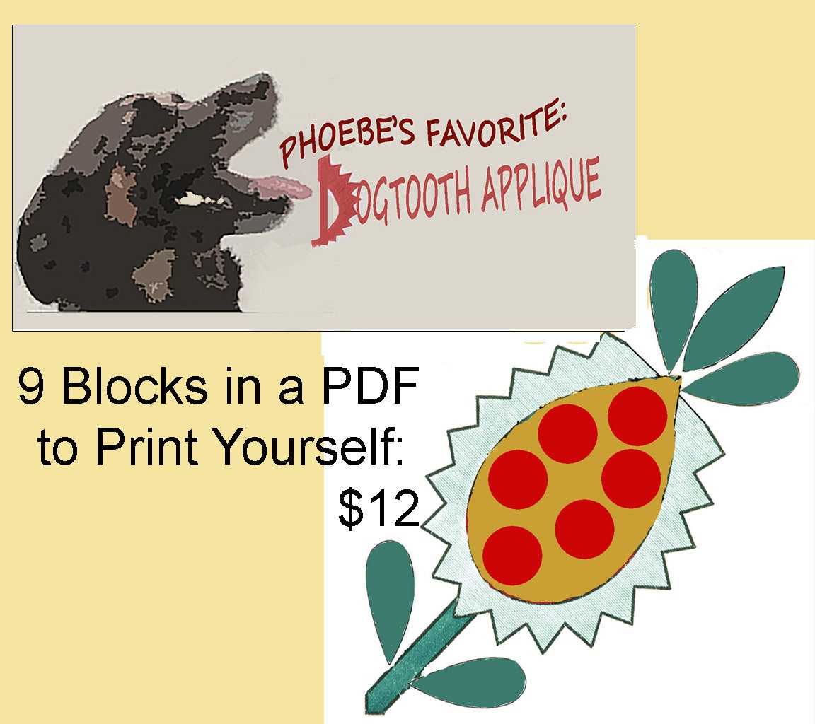 9 Traditional Applique Blocks in a Sampler Quilt Using the Dogtooth ...