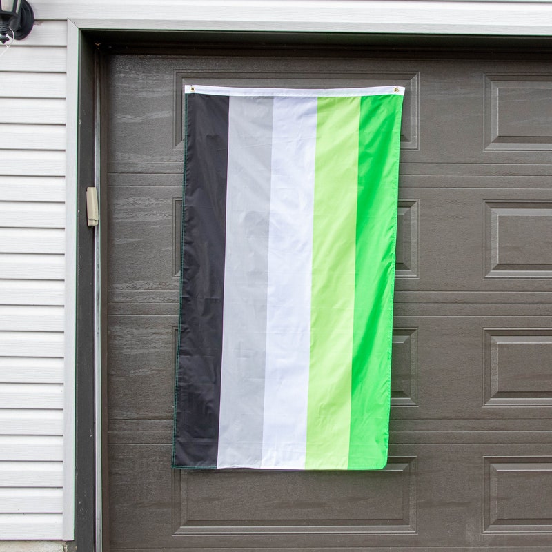 Aromantic Flag - Etsy UK