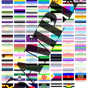 DIGITAL FILE: Printable Extended Pride Flag Reference Guide - Includes ...