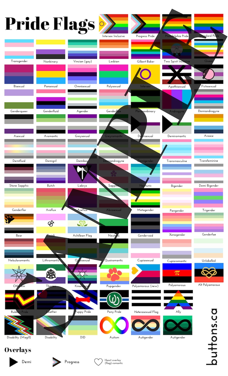 DIGITAL FILE: Printable Extended Pride Flag Reference Guide - Includes ...