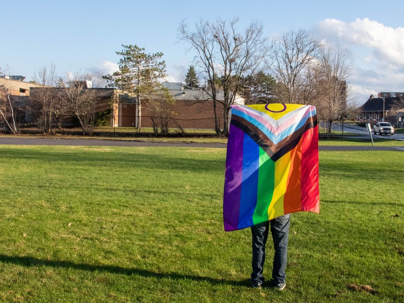New Progress Pride Flag 3x5' or Hand Pride Flag - Etsy Canada