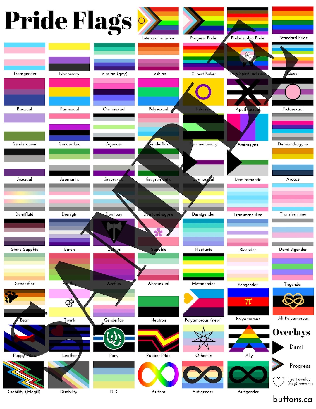 DIGITAL FILE: Printable Extended Pride Flag Reference Guide - Includes ...