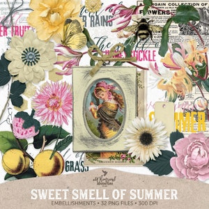 Pink and Yellow, Summer Clip Art, Clipart for Scrapbooking, Vintage ...