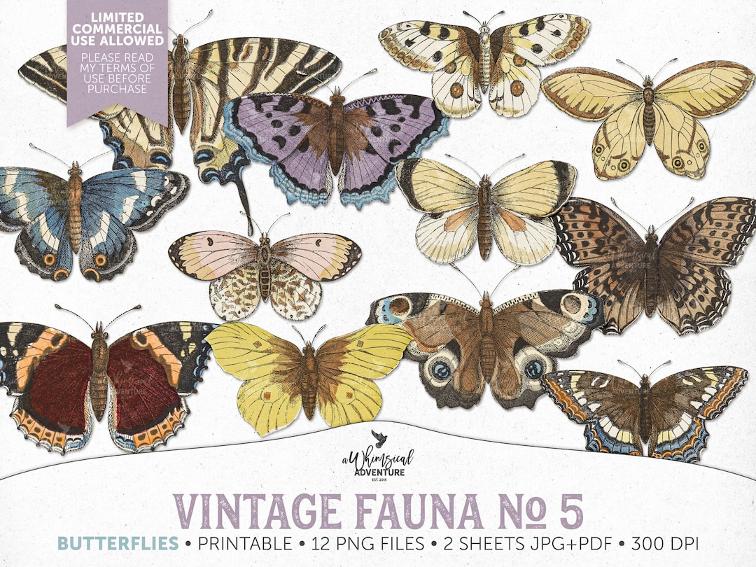 Printable Antique Butterflies PNG Files for Commercial Use, Digital ...