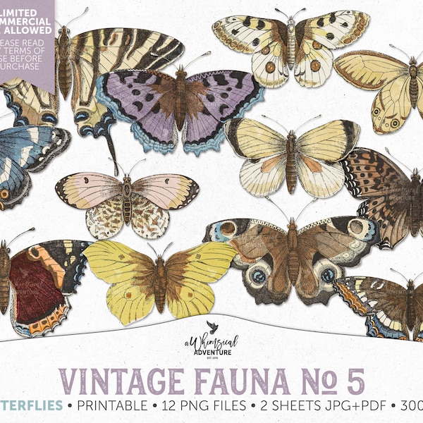 Butterfly Ephemera - Etsy