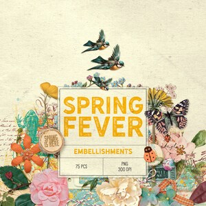 Spring Flowers, Bundle, Best Value, Spring, Colorful, Digital ...