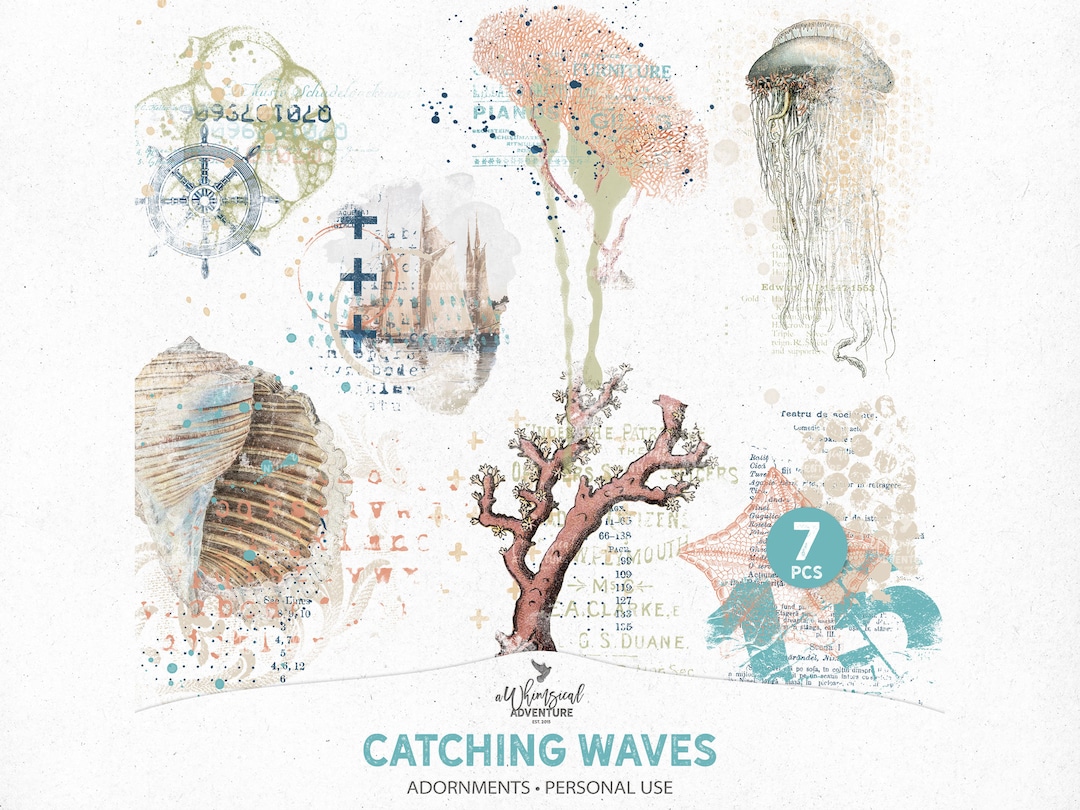 Jellyfish, Under the Sea, Nautical Clipart, Beach Vacation, Instant ...