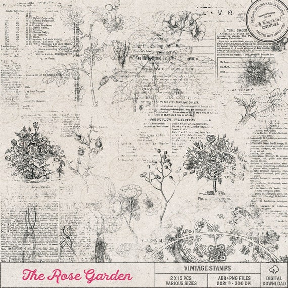 Rose Garden Digital Stamps Botanical Illustration | Etsy