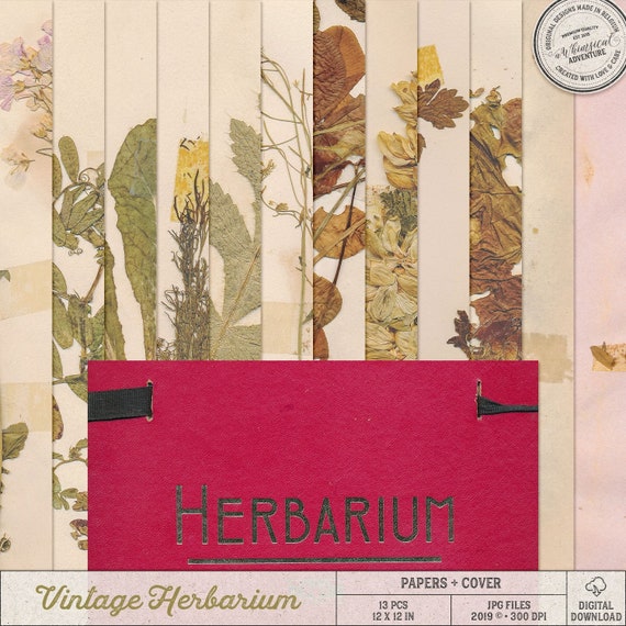 Pressed Plants Herbarium Album Dried Flowers Digital - Etsy